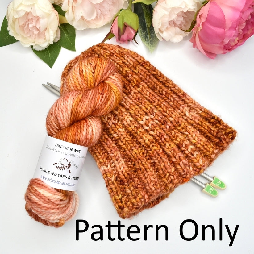 Easy Free Chunky 12 ply Beanie Pattern Download | Sally Ridgway Designs ...